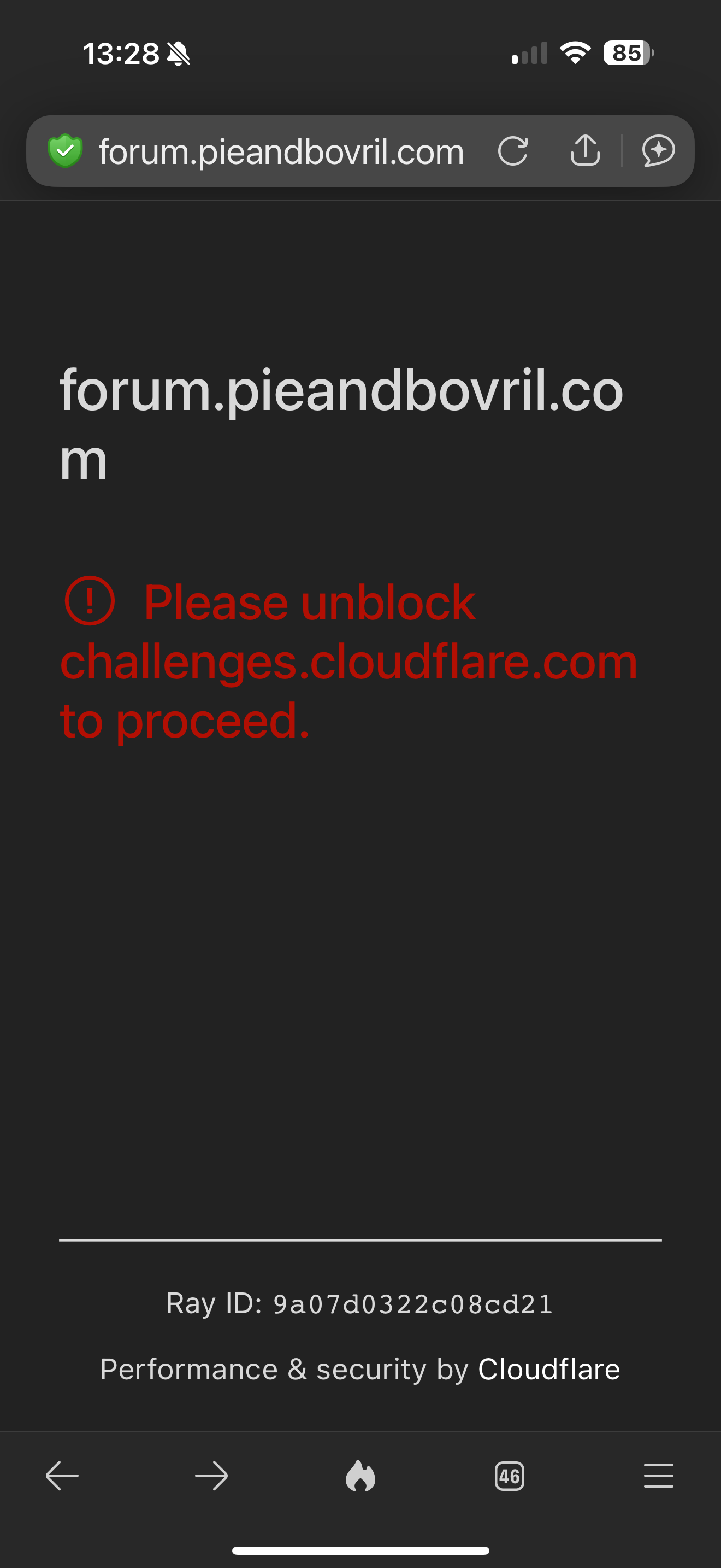 Pie & Bovril - Saints Chat - We Are Perth Forum